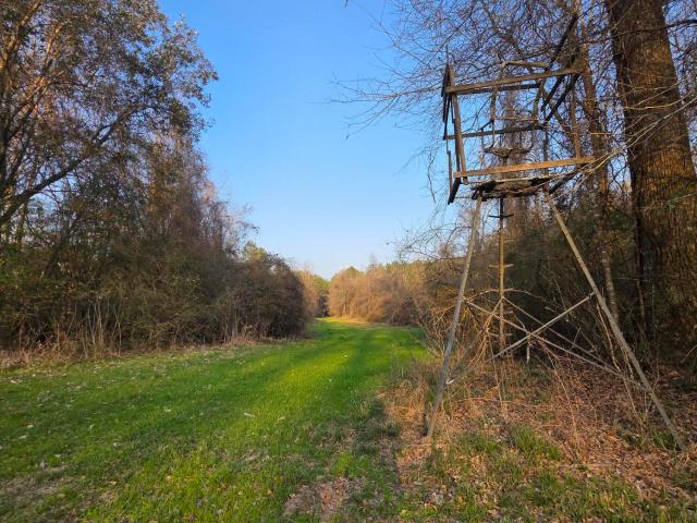 U.S. Highway 51, Bogue Chitto, MS 39629