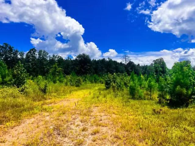 u. S HWY 82, ETHELSVILLE, AL 35461