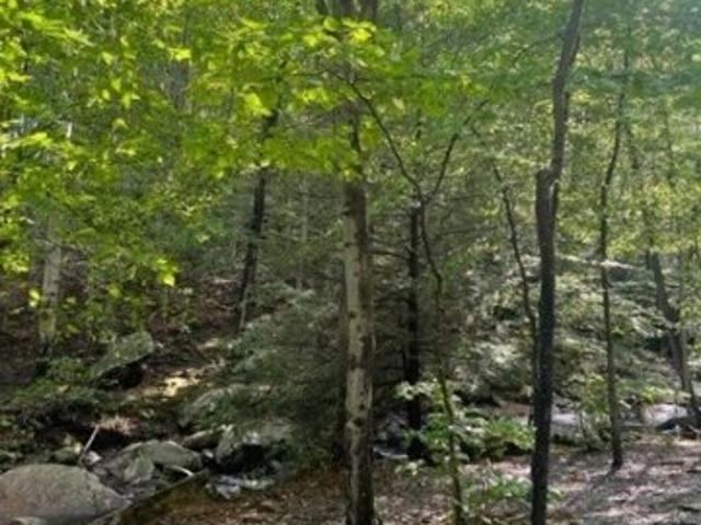 U S #,mine Hill, Plot For Sale