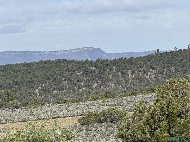 U 3 4 Talavera Rd, Tierra Amarilla, NM 87575