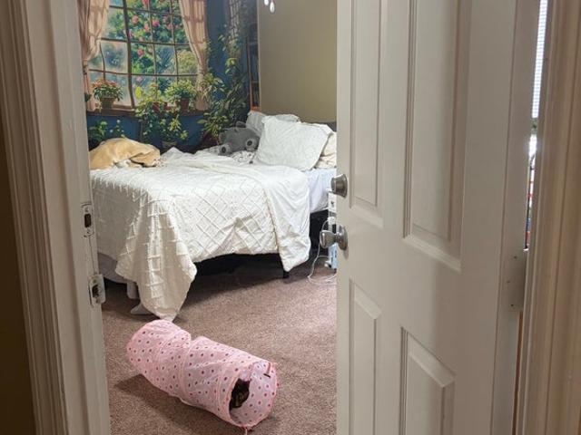 UCF off campus housing