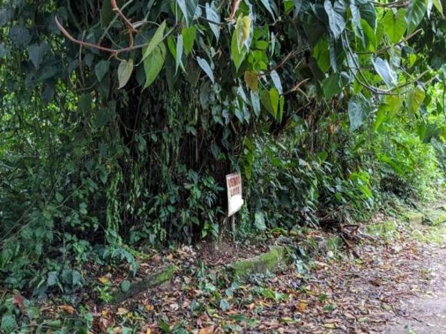 Ubatuba, Itamambuca lote com 514,00 mts2, em fase de liberação ambiental, condomínio segurança 24