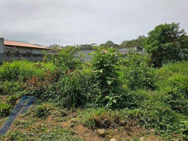 Ubatuba, Sertão da Quina Terreno com 560 m2, documentação de Cessão de Direitos