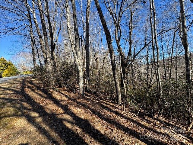 Udoque Ct Lot 19, Brevard, NC 28712