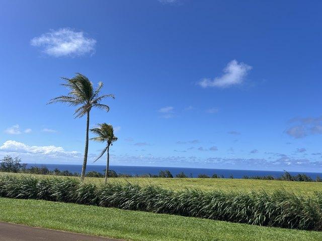 Uli Rd Lot 2, Hawi, HI 96719