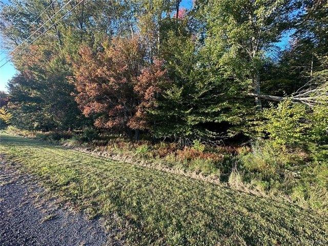Ulster Heights Rd, Fallsburg, NY 12733