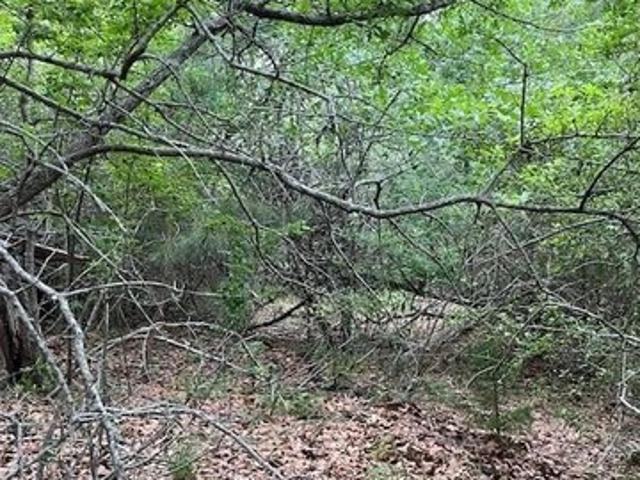 Ulupau Cir Lot 1603, Bastrop, TX 78602
