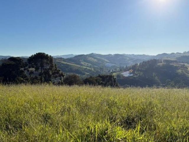 Um Paraíso Natural com Nascentes no Coração da Mantiqueira