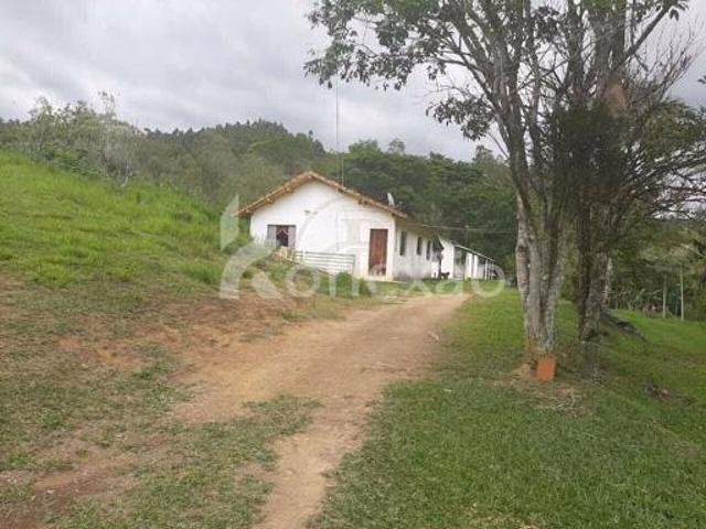 Um Refúgio para a Vida,trabalho e natureza Propriedade unica com 84 alqueires