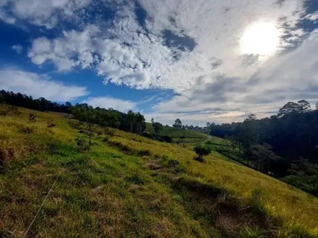 Um residencial que oferece mais do que lotes — oferece qualidade de vida