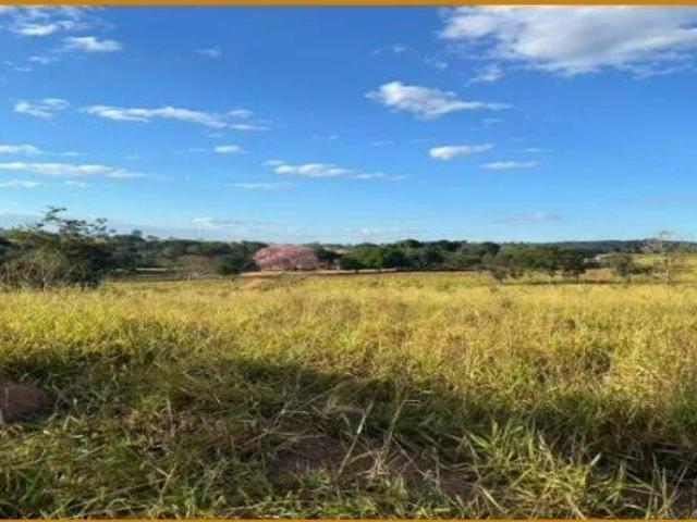 UMA SORTE DE TERRAS DIVIDIDA, SITUADA NA FAZENDA MANABUIU, LUGAR CAIS, LAGOA GRANDE/MG, COM A ÁREA D