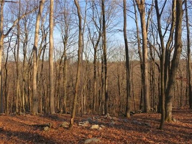 Umpawaug Rd, Redding, Plot For Sale