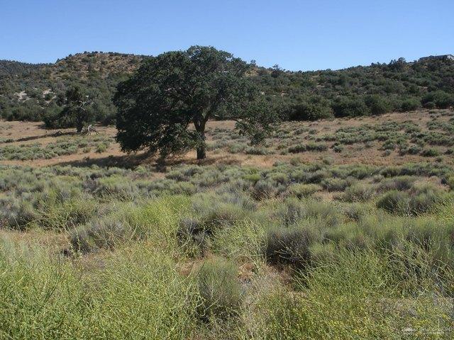 Umtali Rd, Tehachapi, CA 93561