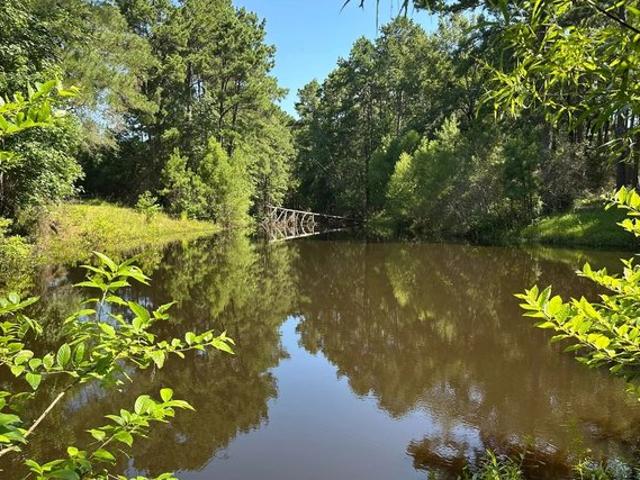 Unnamed Rd, Diboll, TX 75941