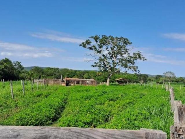 UNAÍ MINAS GERAIS FAZENDA