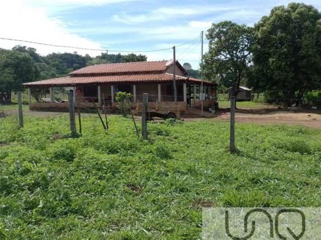UNAÍ MINAS GERAIS FAZENDA