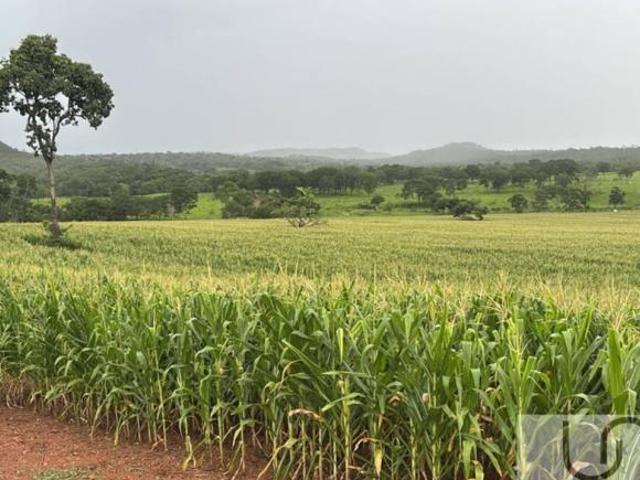 UNAÍ PARACATU MG FAZENDA