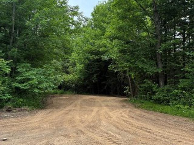 Uncle Toms Rd Lot 5, Loretta, WI 54896