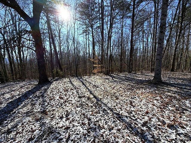 Under The Sun Rd, Cosby, TN 37722