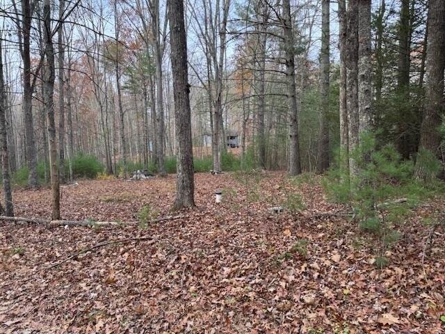 Underwood Sec Rd Lot 66, Gap Mills, WV 24941