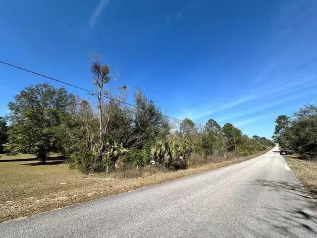 Undetermined, Dunnellon, FL 34431 MLS S5101493