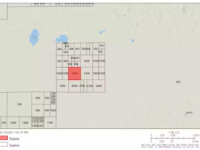 Undetermined Situs Address Rd #TL 1600, Christmas Valley, OR 9.