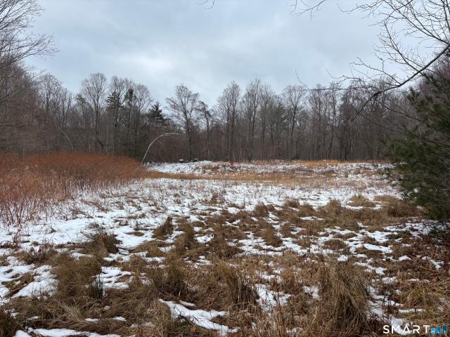 Undisclosed Address, East Hartland, CT 06027 | MLS #24140