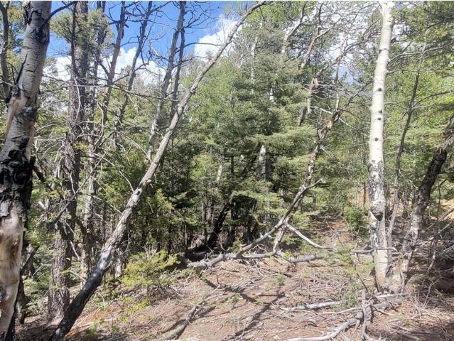 Undisclosed Address, San Luis, CO 81152 | MLS #8369 | Compass
