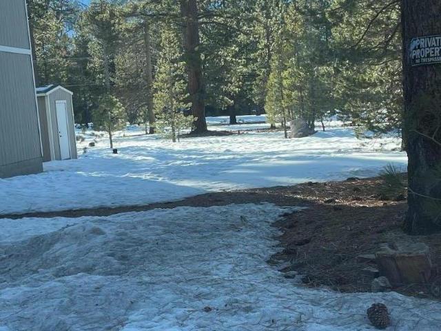 2510 Blitzen Rd, South Lake Tahoe, CA 96150 | MLS #ML82043