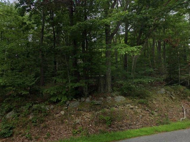 Undisclosed New Rye Rd, Epsom, NH 03234