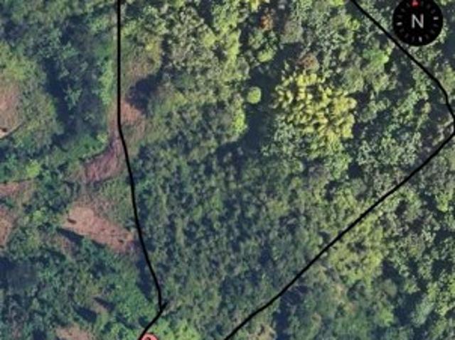 Unit,aguas Buenas, Plot For Sale