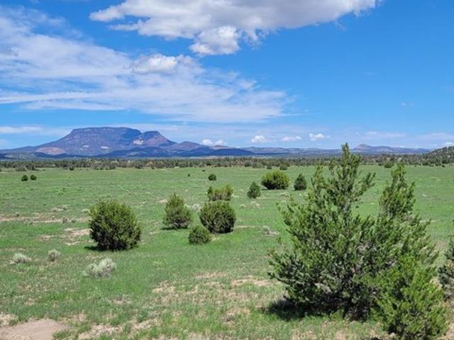 Unit 17,18 Units 17 & 18, Datil, NM 87821