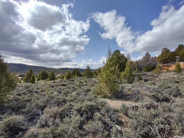 Unit 10, Alton, UT 84710