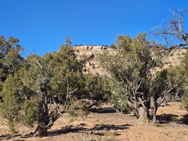Unit 11 C Unit 11C, Duchesne, UT 84021