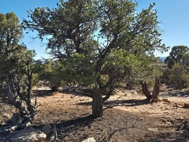 Unit 11 D Unit 11D, Duchesne, UT 84021