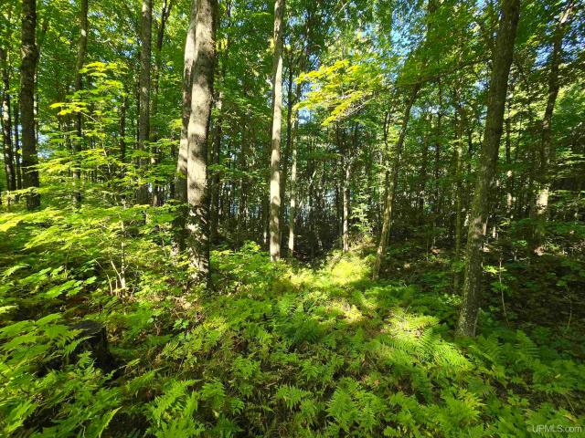 Unit 12 Redridge Creek Road