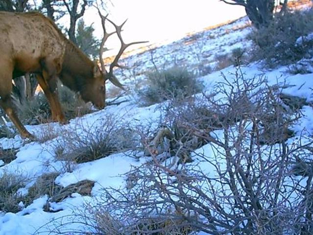 Unit 135, Fruitland, UT 84027