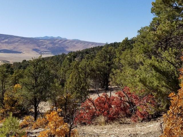 Unit 1, Indianola, UT 84629