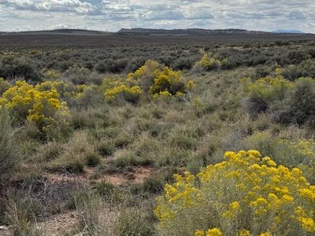 Unit 1, La Sal, UT 84530