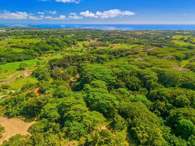 Unit 1B, Kapaa, HI 96746