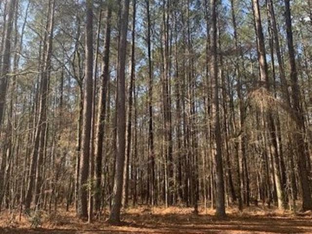 Unit 25 Lot 17, Pachuta, MS 39347