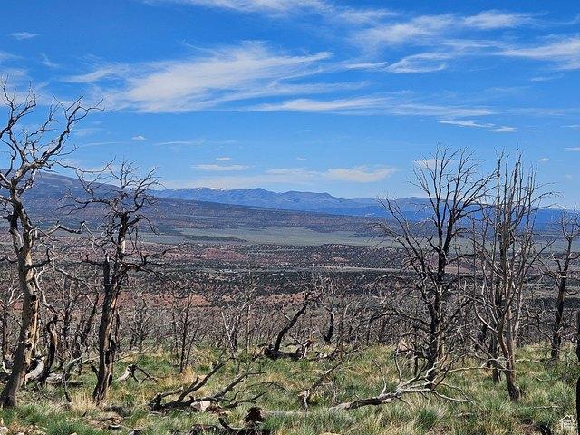 Unit 296, Fruitland, UT 84027