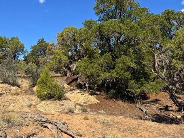 Unit 2, Duchesne, UT 84021