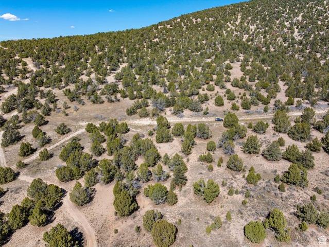 Unit 2, Indianola, UT 84629