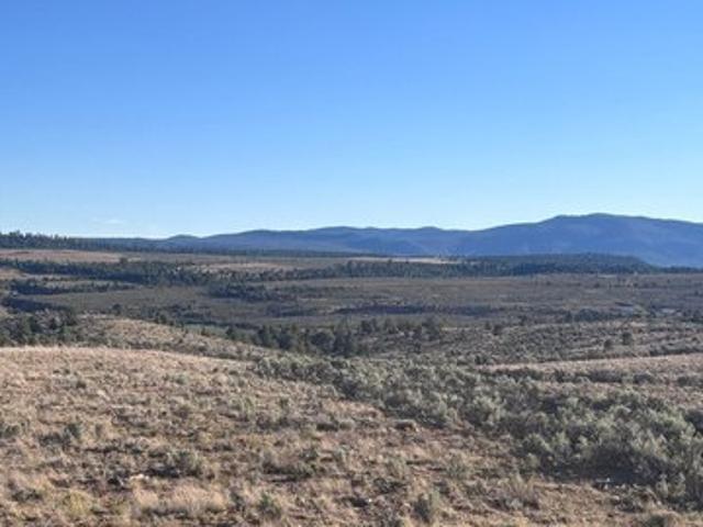 Unit 31, Tierra Amarilla, NM 87575