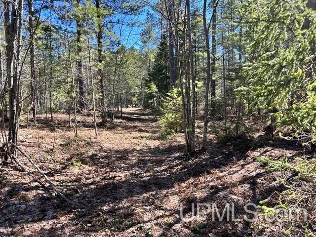 Unit 61 Little Rice Lake Road