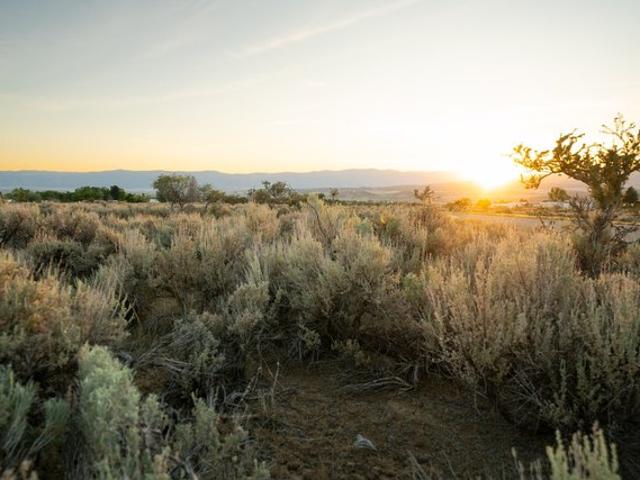Unit 6, Mount Pleasant, UT 84647
