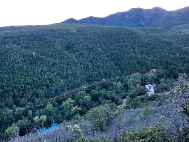 Unit 6, Springville, UT 84663