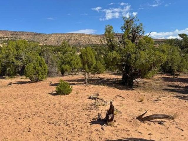 Unit 7, Duchesne, UT 84021