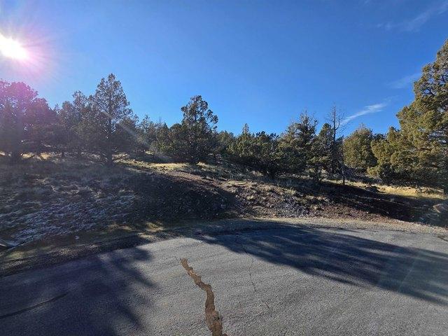 Quail Rdg Lot 254, Weed, CA 96094